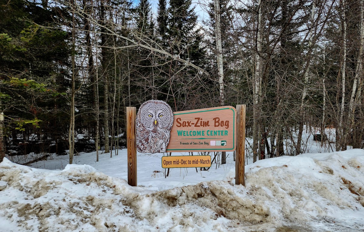 Sax-Zim Bog-Meadowlands-Minnesota – Neaton Adventures