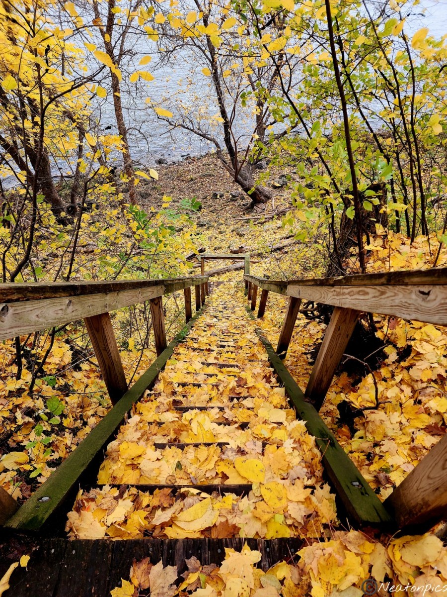 Frontenac State Park-Frontenac-Minnesota – Neaton Adventures