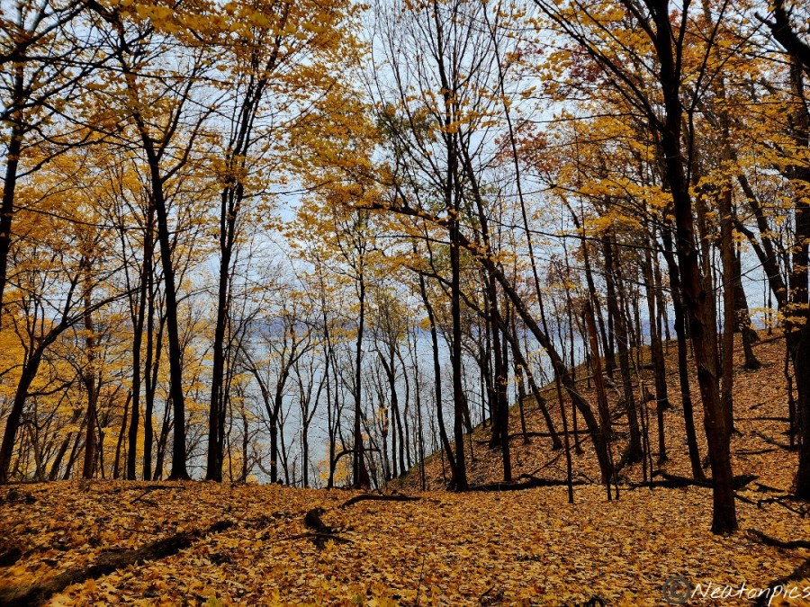 Frontenac State Park-Frontenac-Minnesota – Neaton Adventures