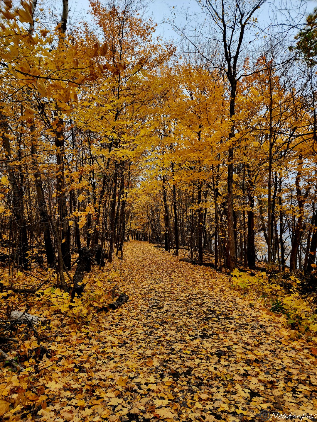 Frontenac State Park-Frontenac-Minnesota – Neaton Adventures